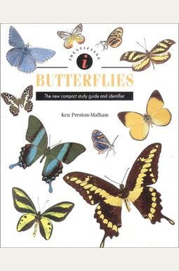 Buy Butterflies Book
