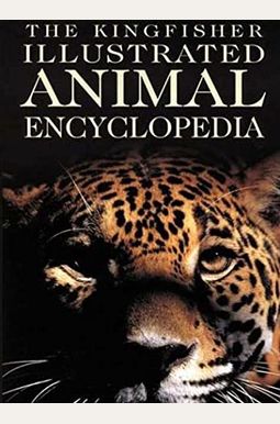 Buy The Kingfisher Illustrated Animal Encyclopedia Kingfisher Family Of ...