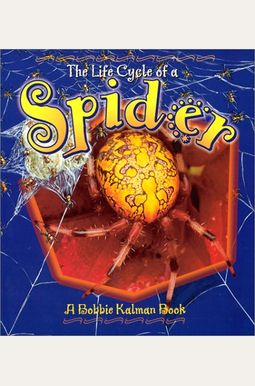 Buy Spider Book By: Bobbie Kalman