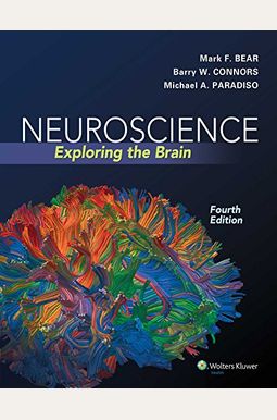 Buy Neuroscience: Exploring The Brain Book By: Mark F Bear