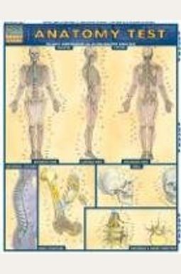 Buy Anatomy Test Laminate Reference Chart: The Most Comprehensive All ...
