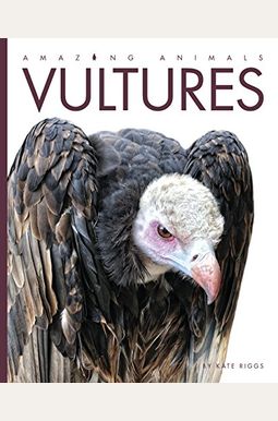 Buy Amazing Animals: Vultures Book By: Kate Riggs